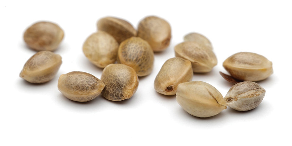 ColaTeric HBS by Colonial Chemical, Inc. | Global Cosmetic Industry