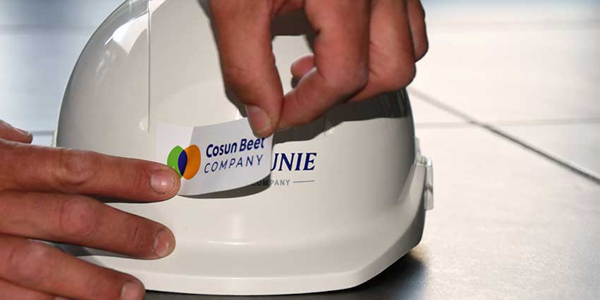 Cosun Rebrands as Cosun Beet Company-Biobased Experts | Global Cosmetic ...