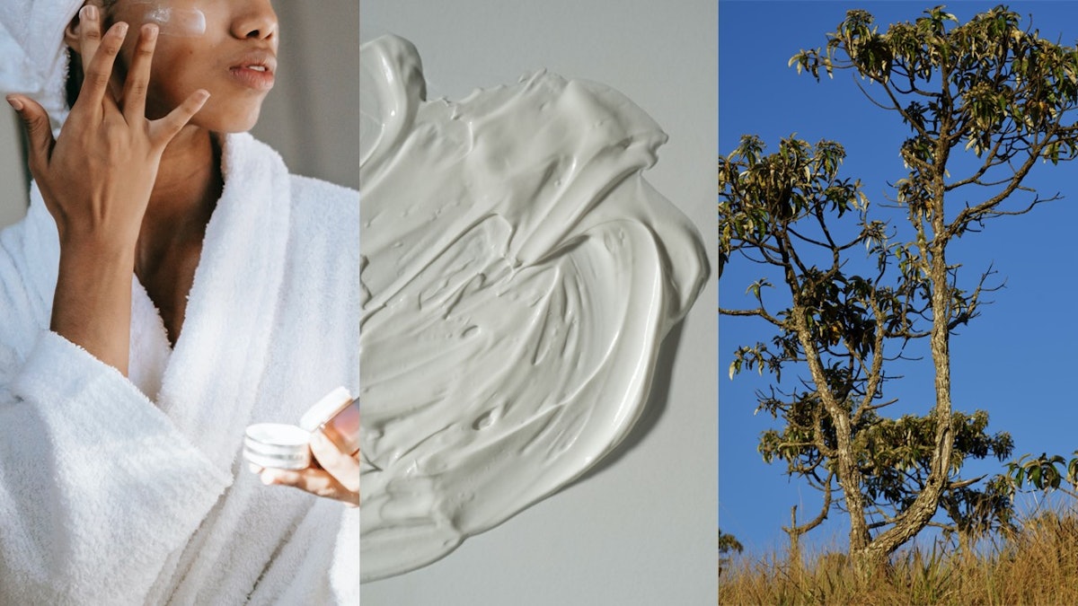 ABCs of Beauty: Citrue Bisabolol | Global Cosmetic Industry