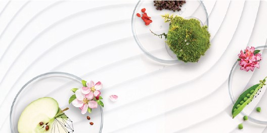 Mibelle AG Biochemistry | Global Cosmetic Industry