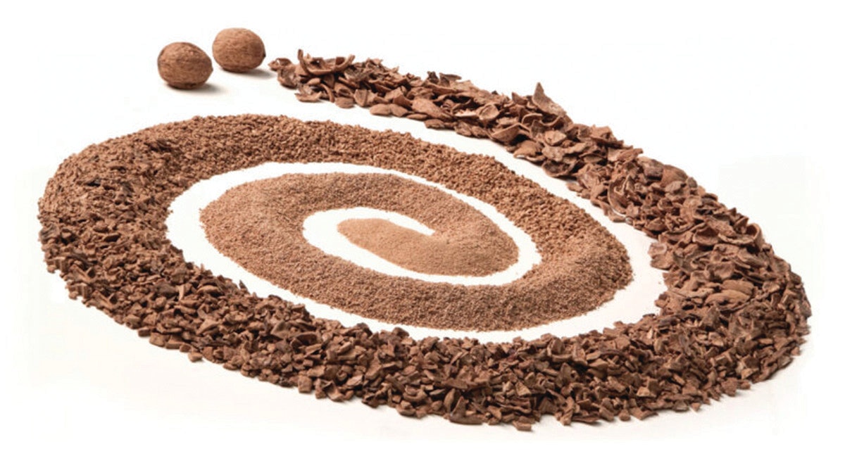 Eco-Shell's Walnut Shells | Global Cosmetic Industry