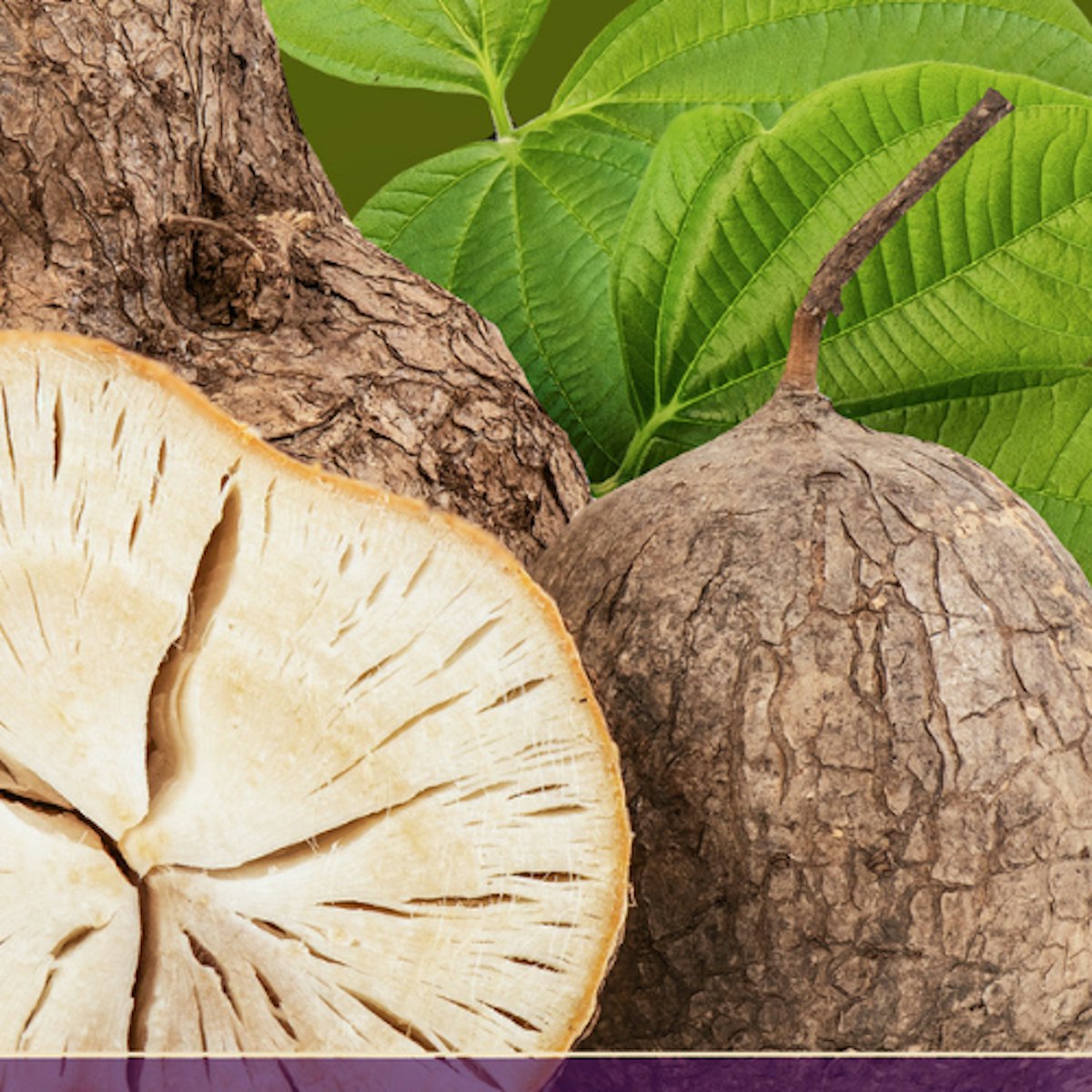 Puresterol: A Scientifically Backed Botanical for Skin and Beauty From ...