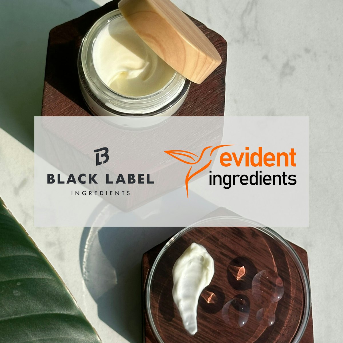 Evident Ingredients And Black Label Ingredients Team Up For Supply Of ...