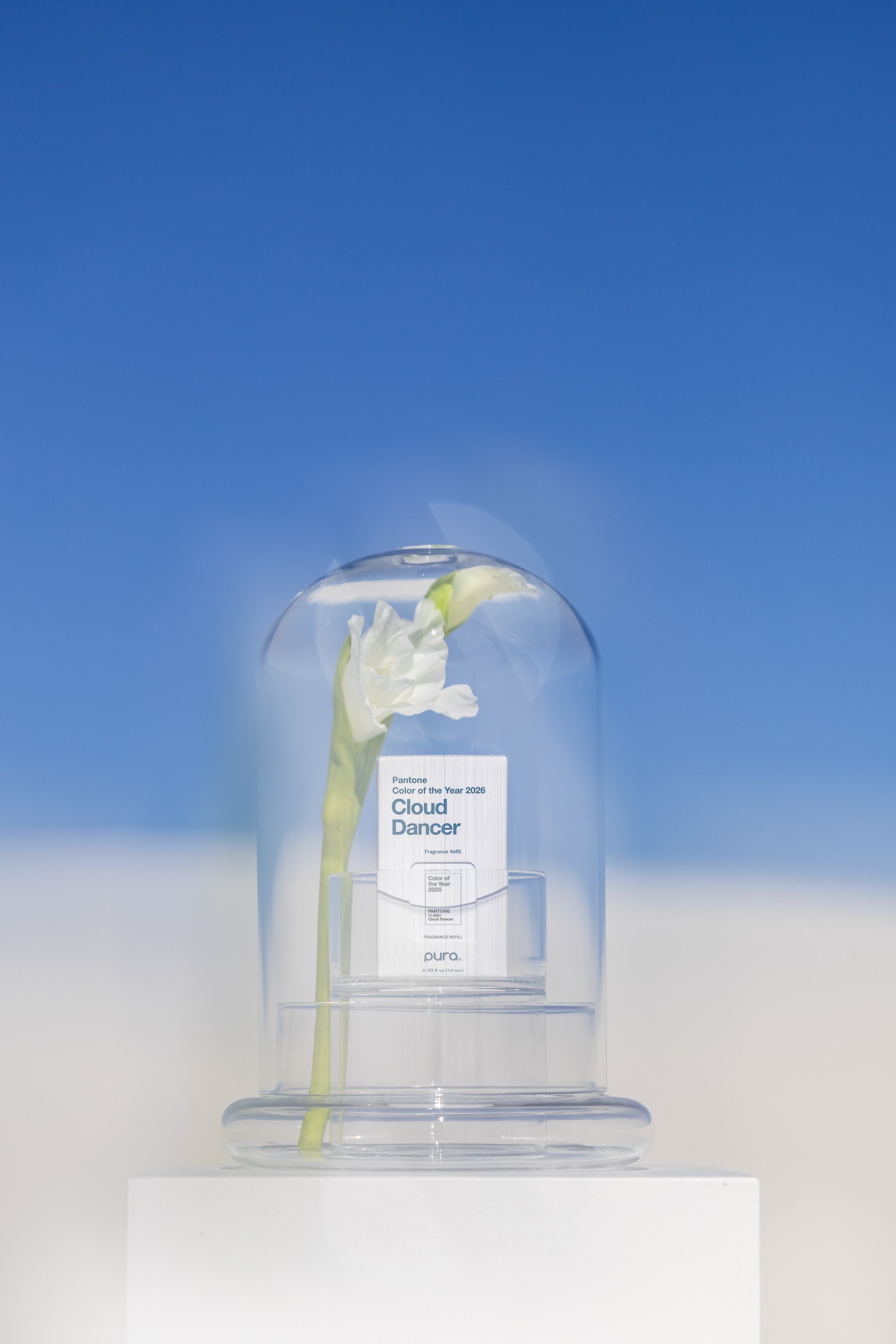 Pantone's Color of the Year 2026 Inspires Serenity and Fresh Starts ...